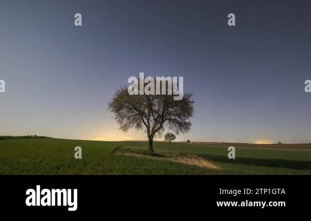 Amazing scenery of glowing stars of Milky Way in night sky over field ...