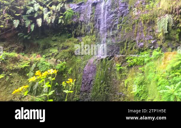 A stunning capture of the impressive Risco Waterfall, set amidst ...