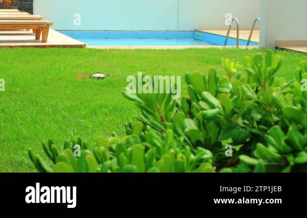 Pool in the garden Stock Videos & Footage - HD and 4K Video Clips - Alamy