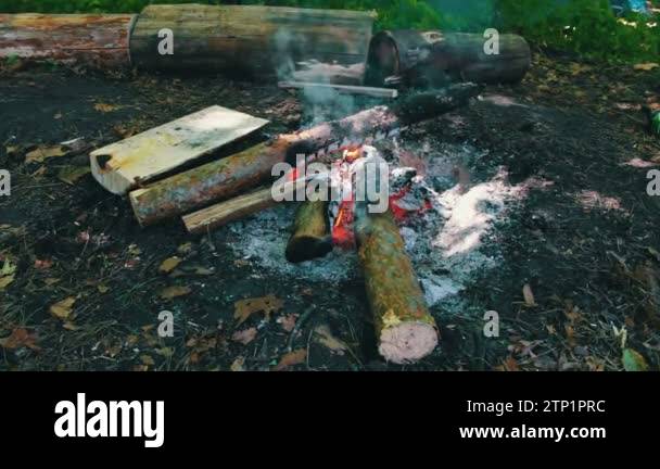 Huge burning firewood or logs lie on the green and burn in the flames ...