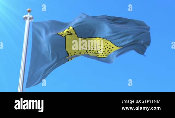 Gomel flag Stock Videos & Footage - HD and 4K Video Clips - Alamy