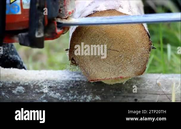 The worker does sawing in a log, which will serve as the basis for the ...