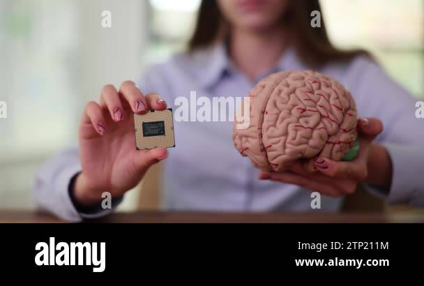 Plastic brain model Stock Videos & Footage - HD and 4K Video Clips - Alamy