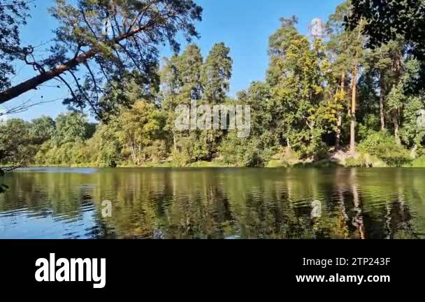 Lake tree river landscape Stock Videos & Footage - HD and 4K Video ...