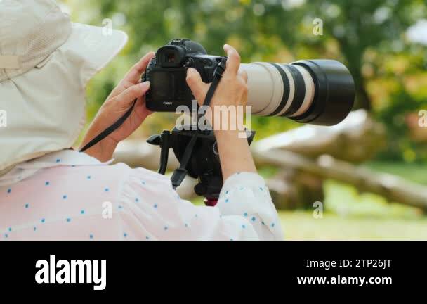 Animal photographs Stock Videos & Footage - HD and 4K Video Clips - Alamy