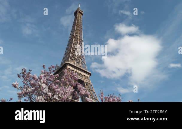 Eiffel tower spring flowers Stock Videos & Footage - HD and 4K Video ...