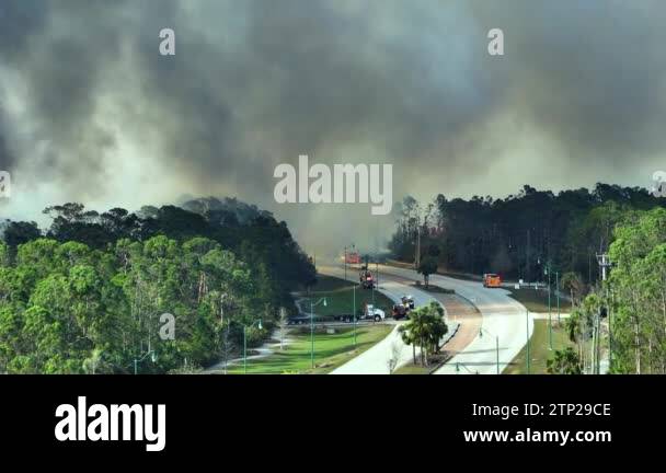 Fire department chopper and firetrucks extinguishing wildfire burning ...