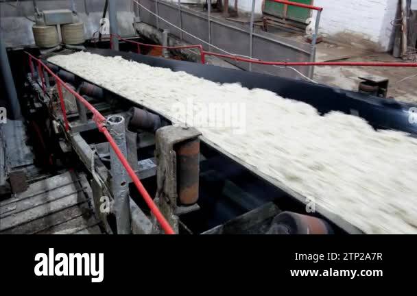 Sugarcane factory conveyor Stock Videos & Footage - HD and 4K Video ...