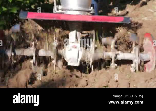 A man is a farmer in a suburban area, a vegetable garden, plows the ...