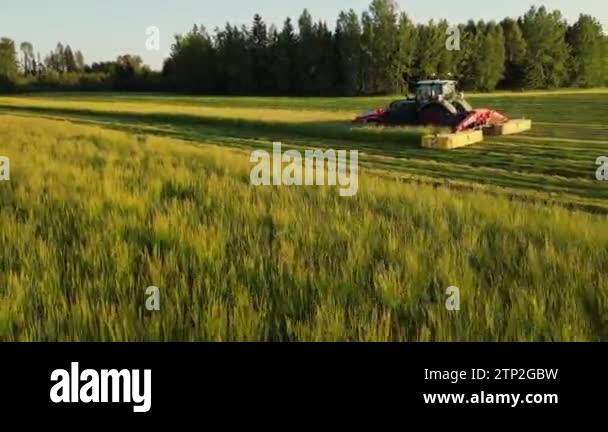 Maize game crop Stock Videos & Footage - HD and 4K Video Clips - Alamy