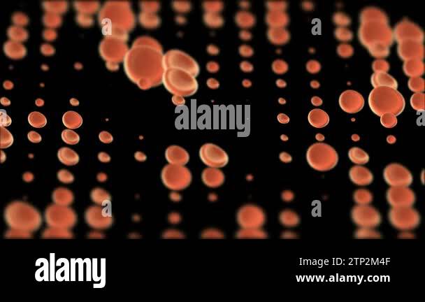 the cells of the blood pulsate and disappear. The cinematic background ...