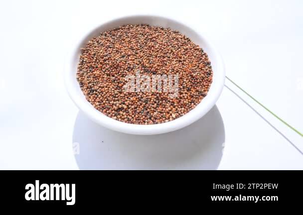 Eleusine coracana or finger millet. It is called Ragi and madua in ...