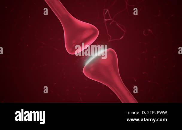 Neuron receptor axon Stock Videos & Footage - HD and 4K Video Clips - Alamy