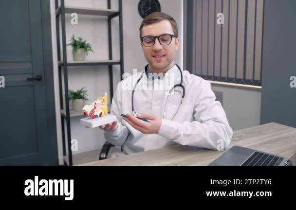 Otolaryngologist consultation. ENT doctor using throat anatomical model ...