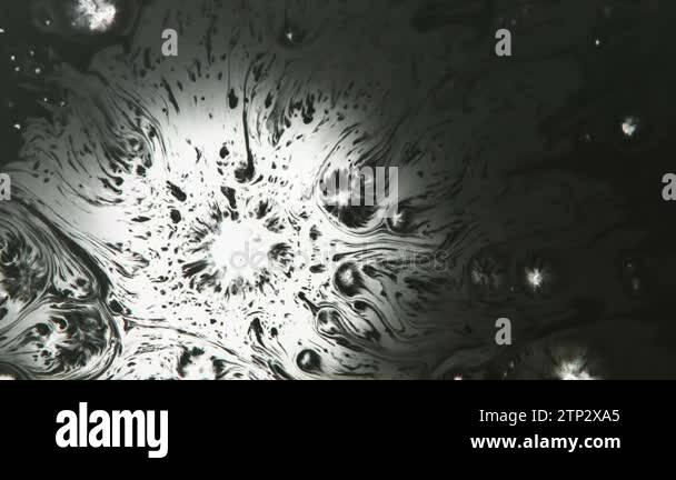 White Splashes and Drops on Black. A drop of white ink on black paper ...