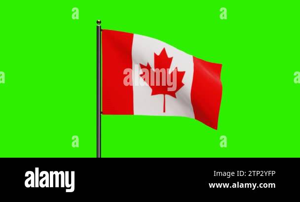 3D Rendered Canada National Flag Waving Animation with Realistic Wind ...