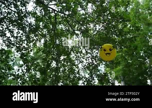 a balloon stuck in the branches of trees Stock Video Footage - Alamy
