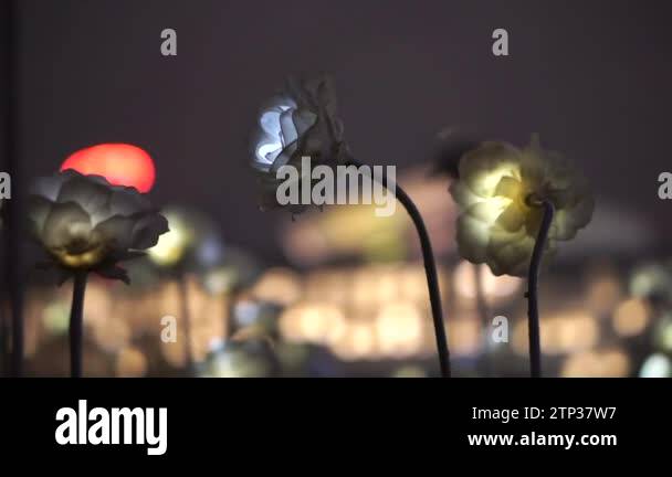 Seoul, South Korea - June, 2016: Dongdaemun Design Plaza DDP ...