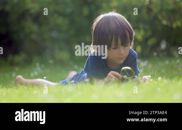 Boy child magnifying glass Stock Videos & Footage - HD and 4K Video ...