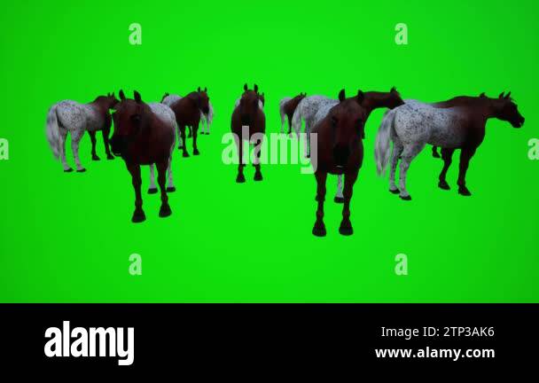 3D animation of a group of horses in the green curtain forest of chroma ...