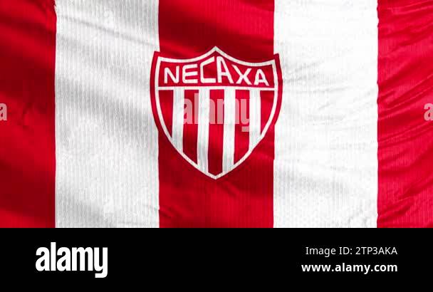 Necaxa soccer team Stock Videos & Footage - HD and 4K Video Clips - Alamy
