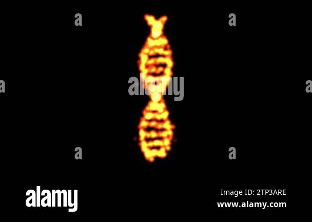 Spinning 3d DNA symbol with fire particles on plain black background ...