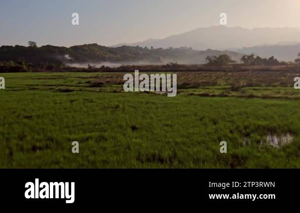 A drone shot capturing the tranquil landscape where fog weaves through ...