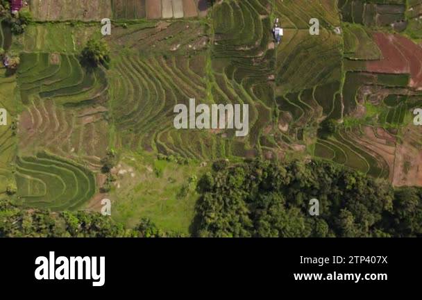 Elevated view of rice fields Stock Videos & Footage - HD and 4K Video ...