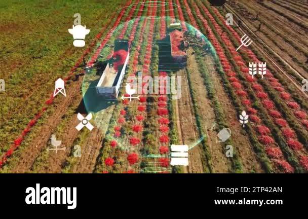 agriculture smart farming technology - industry 4.0.Concept of ...