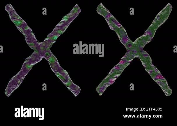 X chromosome microscope Stock Videos & Footage - HD and 4K Video Clips ...