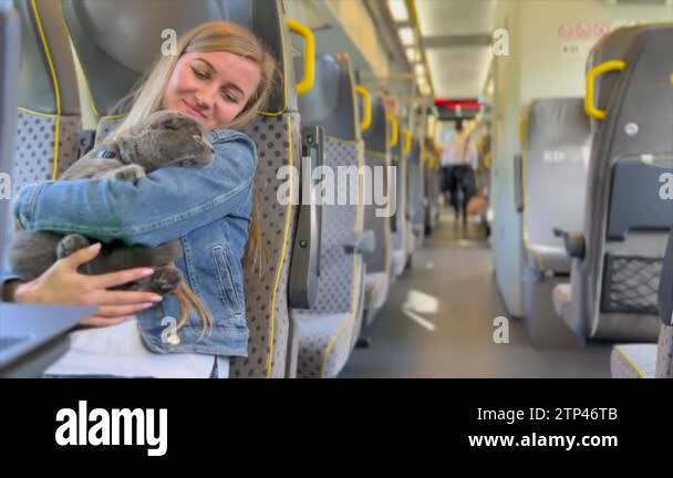 Tram cat Stock Videos & Footage - HD and 4K Video Clips - Alamy
