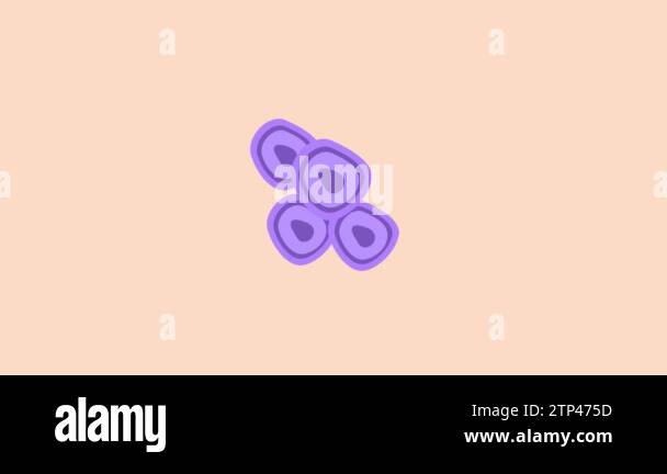 Cancer Cells forming Tumor in human body medical animation Stock Video ...