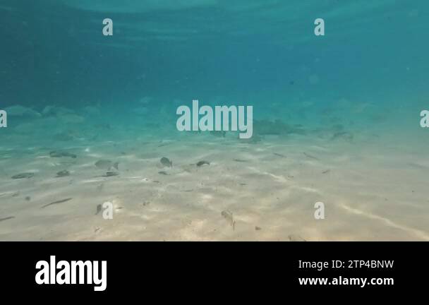 Ray school Stock Videos & Footage - HD and 4K Video Clips - Alamy