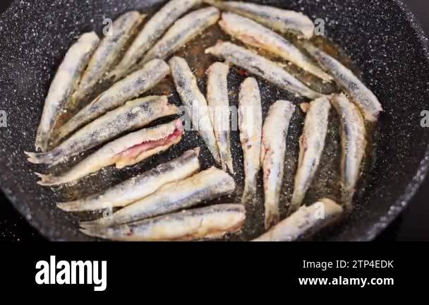Anchovy fish fried with oil Stock Videos & Footage - HD and 4K Video ...