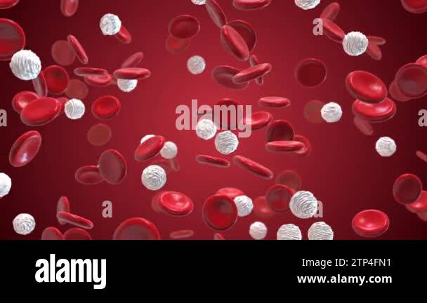 Red white blood cell micrograph Stock Videos & Footage - HD and 4K ...