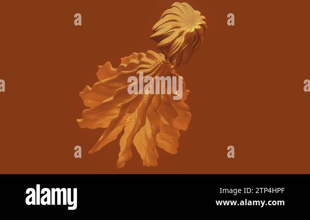 Abstract plant forms Stock Videos & Footage - HD and 4K Video Clips - Alamy