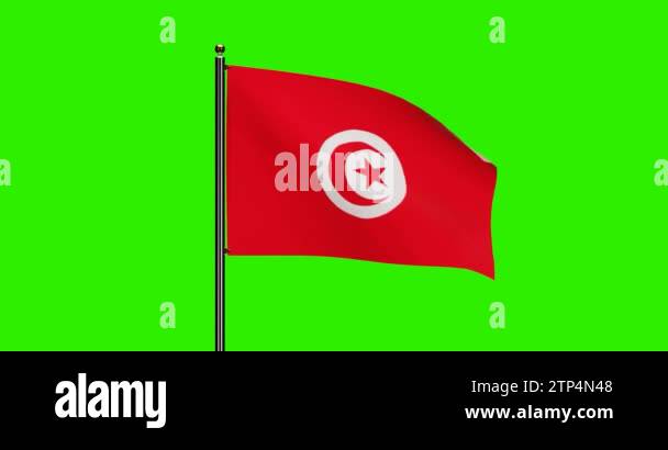 3D Rendered Tunisia National Flag Waving Animation with Realistic Wind ...