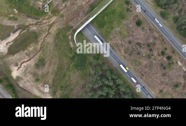 Wildlife bridge netherlands Stock Videos & Footage - HD and 4K Video ...