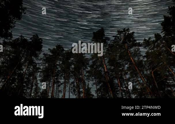 Time lapse of comet-shaped star trails over the forest in the night sky ...
