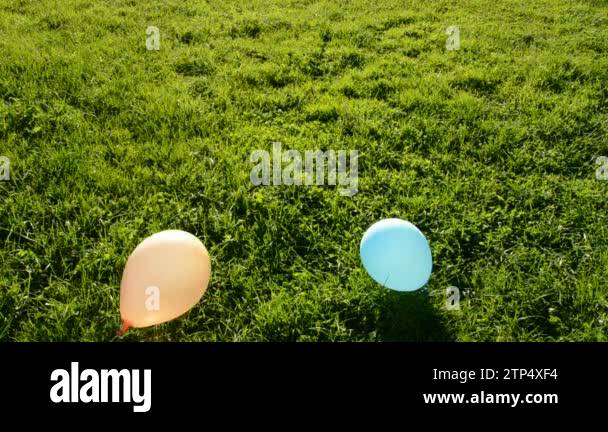 Green grass balloons Stock Videos & Footage - HD and 4K Video Clips - Alamy