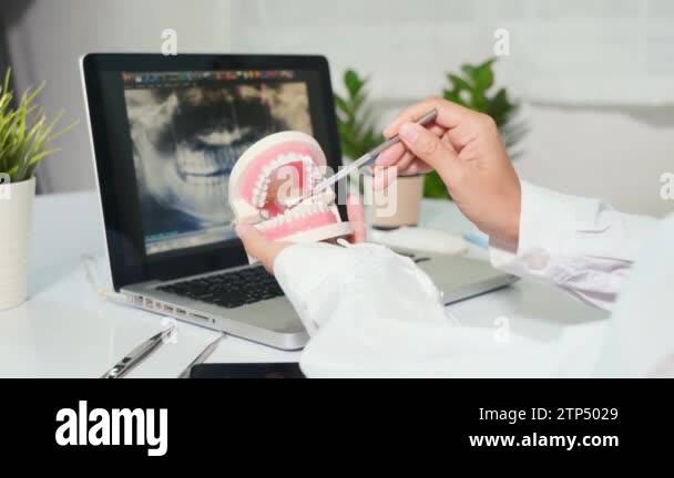 Oral dental hygiene. Dentist healthy white tooth model and explorer ...