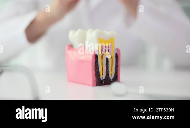 Tooth teeth Stock Videos & Footage - HD and 4K Video Clips - Alamy
