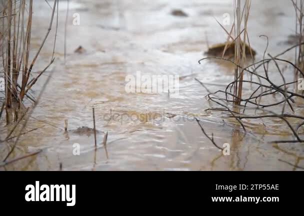 Sulphurous spring Stock Videos & Footage - HD and 4K Video Clips - Alamy