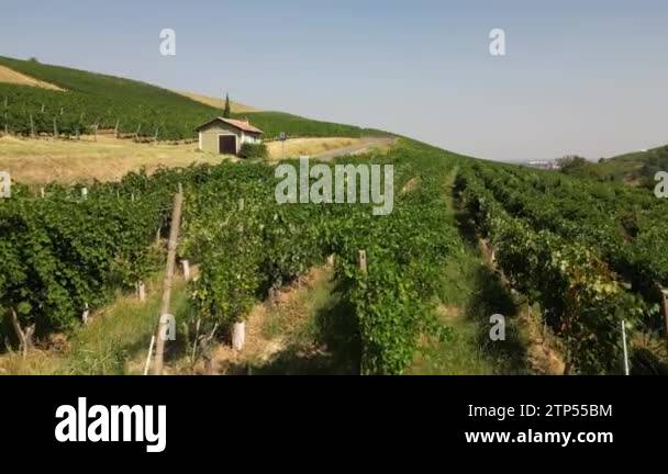 Europe, Italy, Broni - more and more pilgrims walk the roads of the ...