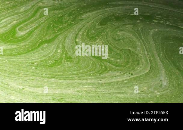 Plankton bloom in sea water, Global pollution Stock Video Footage - Alamy