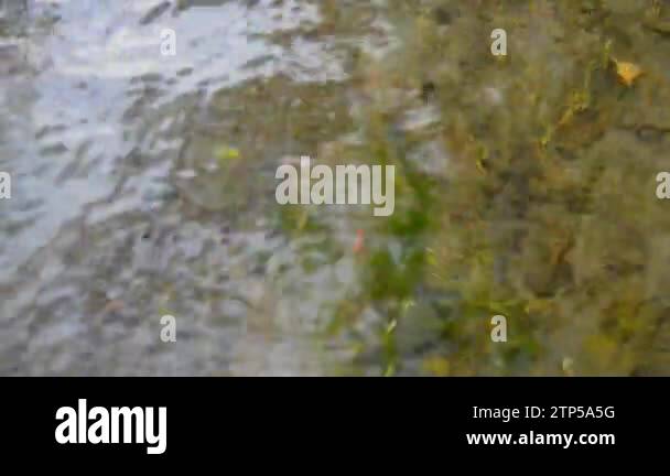 FHD footage of water coming out from tube well pipe. Concept of ...