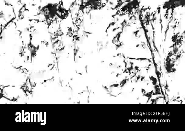 Distress looped grunge texture template. Cracked and textured endless ...