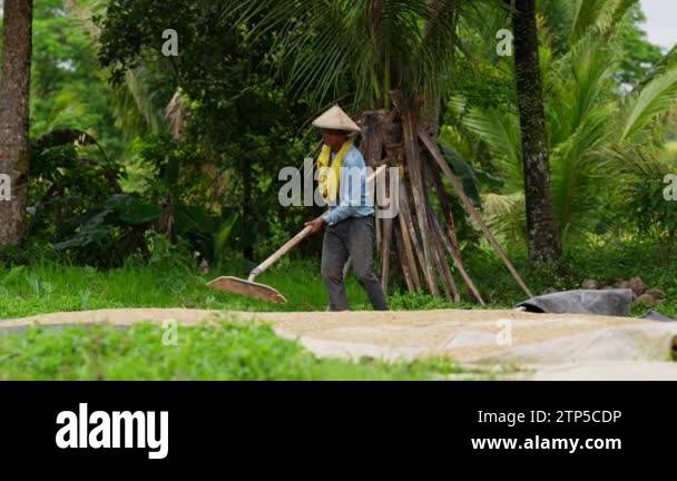Traditional farming practice Stock Videos & Footage - HD and 4K Video ...