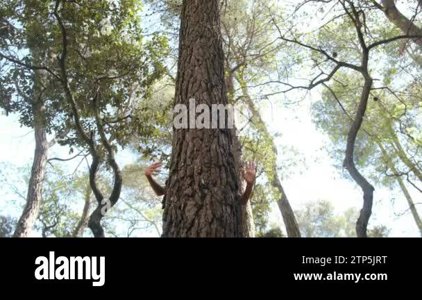 Happy children hugging a tree with his hands. Forest environment ...