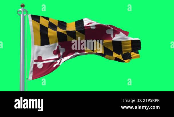 Argentina national flag waving on green screen. Threel blue and white ...